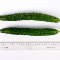 Kansui (lye water, alkaline solution, 枧水) - Omnivore's Cookbook