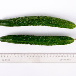 Sui Mi Ya Cai (碎米芽菜, Preserved Mustard Greens) - Omnivore's Cookbook