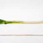 Sui Mi Ya Cai (碎米芽菜, Preserved Mustard Greens) - Omnivore's Cookbook