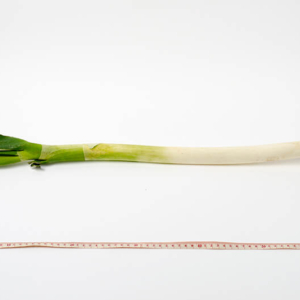 Sui Mi Ya Cai (碎米芽菜, Preserved Mustard Greens) - Omnivore's Cookbook