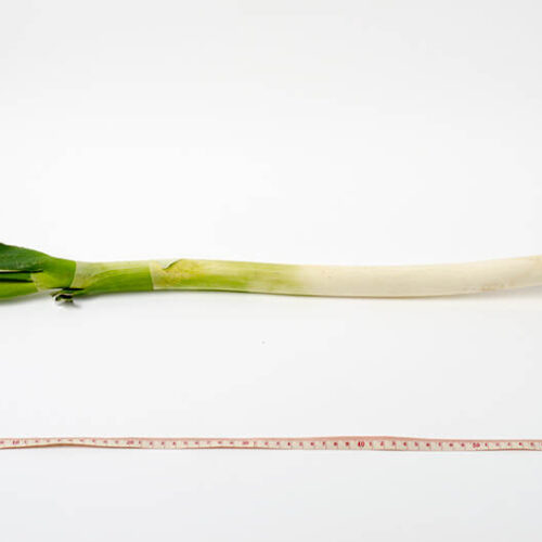 Sui Mi Ya Cai (碎米芽菜, Preserved Mustard Greens) - Omnivore's Cookbook