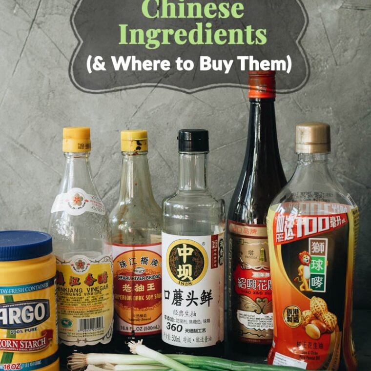 An Introduction to Tofu in Chinese Cooking - Omnivore's Cookbook