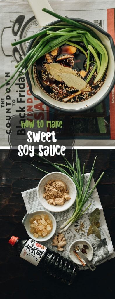 Chinese Flavored Sweet Soy Sauce (复制酱油) - Omnivore's Cookbook