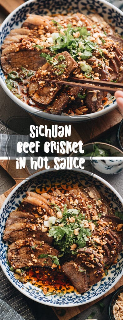 Fu Qi Fei Pian (Sichuan Sliced Beef in Chili Sauce, 夫妻肺片) - Omnivore's ...