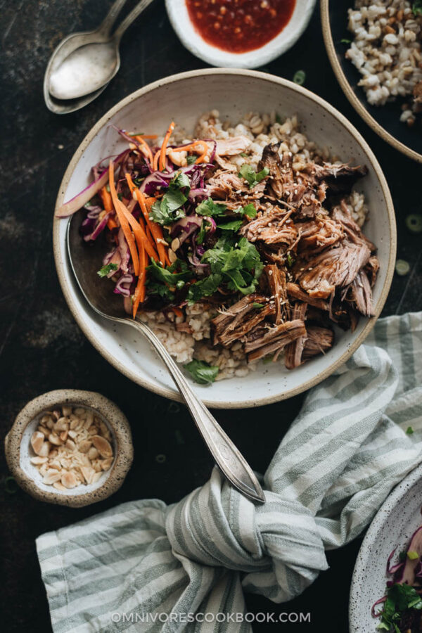 Asian-Style Instant Pot Pulled Pork - Omnivore's Cookbook