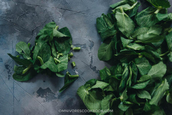 Stir-Fried Pea Shoots with Garlic (蒜蓉炒豆苗) - Omnivore's Cookbook