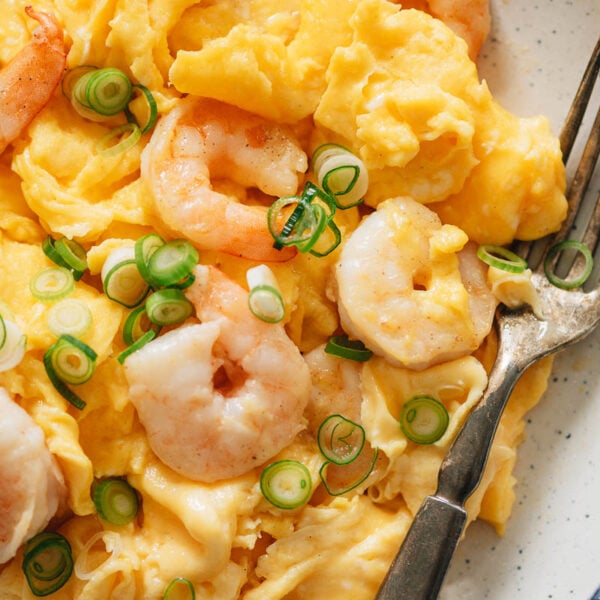 Ji Dan Bing (Chinese Breakfast Pancake, 鸡蛋饼) - Omnivore's Cookbook