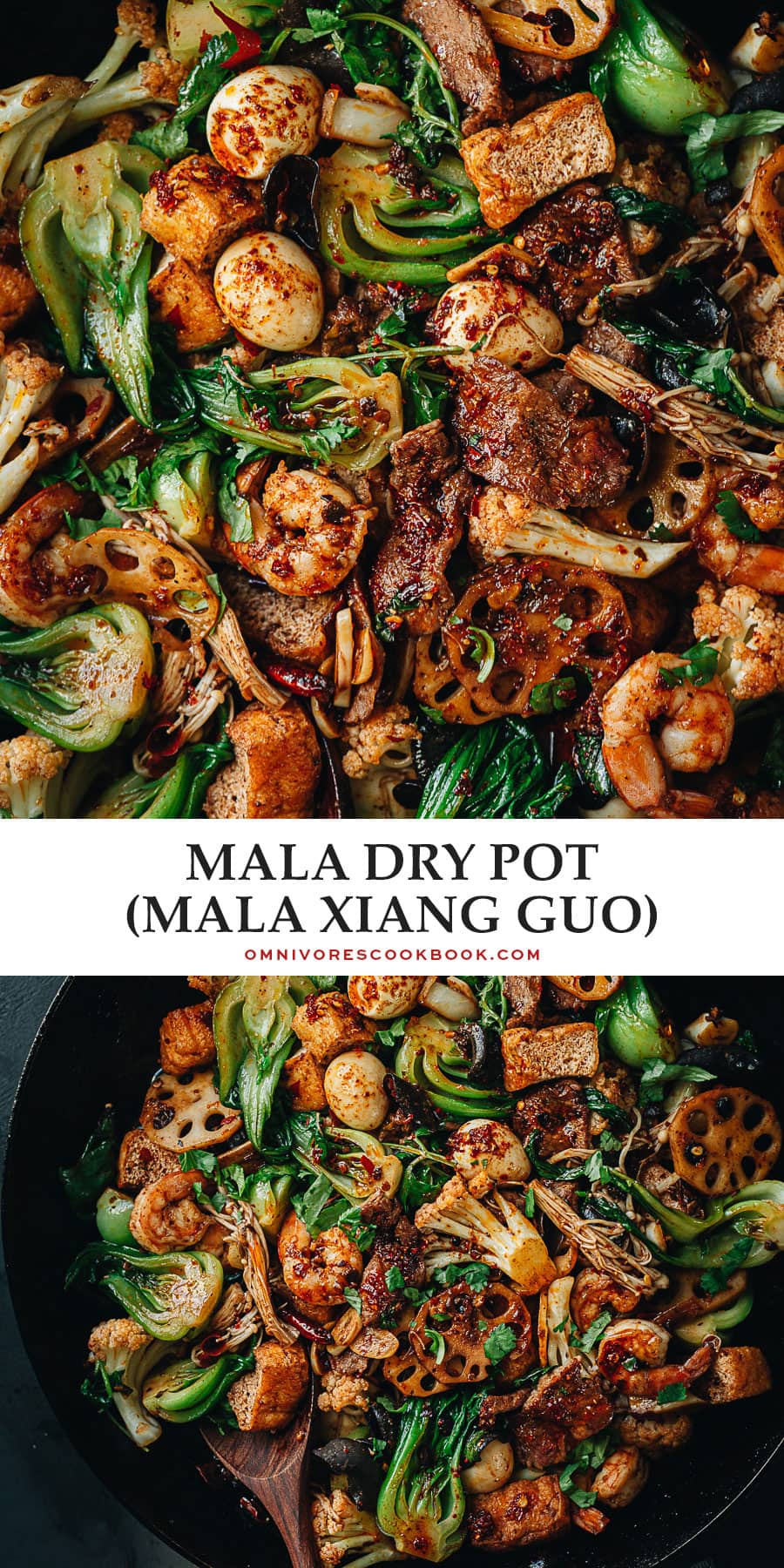 Ma La Xiang Guo (Sichuan Mala Dry Pot, 麻辣香锅) - Omnivore's Cookbook