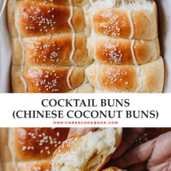 Chinese Coconut Buns (Cocktail Buns) - Omnivore's Cookbook