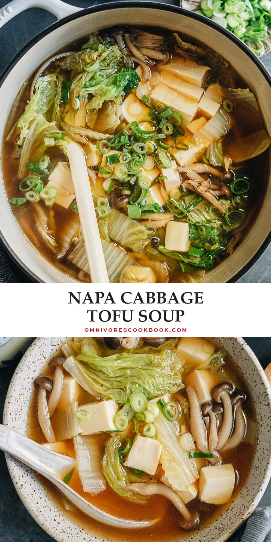Napa Cabbage Tofu Soup (白菜豆腐汤) - Omnivore's Cookbook