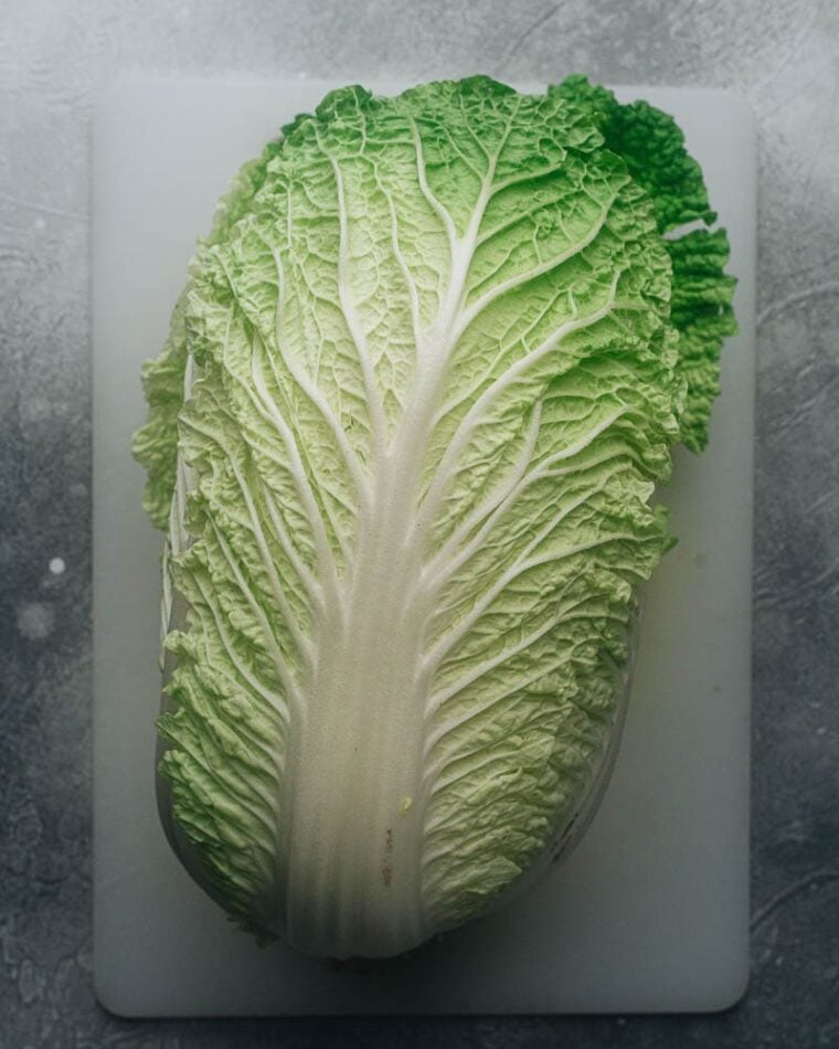 Chinese Cooking How-Tos & Kitchen Tips - Omnivore's Cookbook