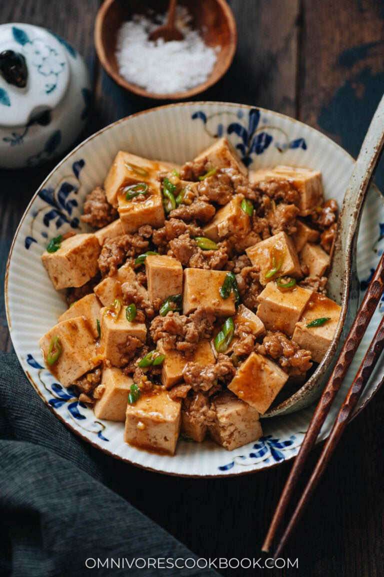 Tofu With Minced Pork - Omnivore's Cookbook