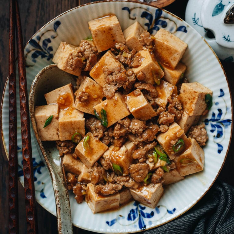 Tofu With Minced Pork - Omnivore's Cookbook