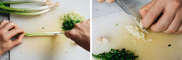 Ginger Scallion Sauce - Omnivore's Cookbook